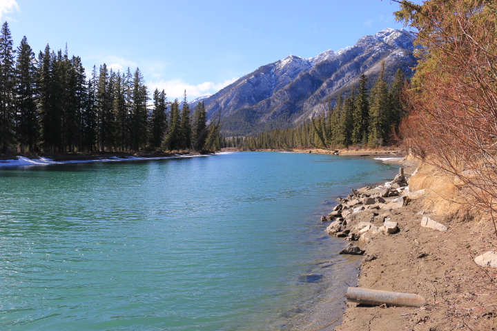 IMG_1669 | Banff Squirrel`s Nest Bed & Breakfast